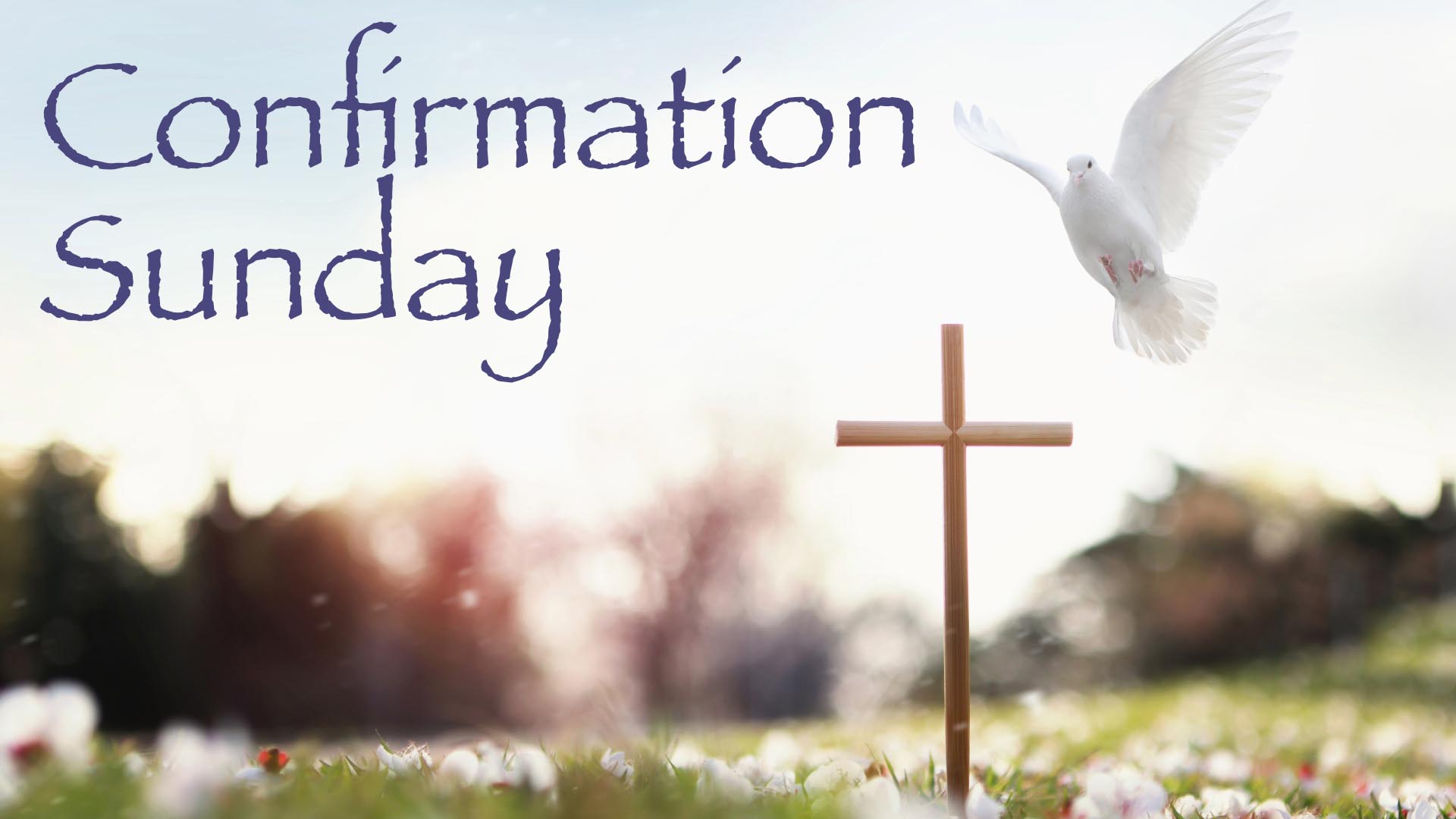 Confirmation Sunday 2024! – Epiphany Lutheran Church & School